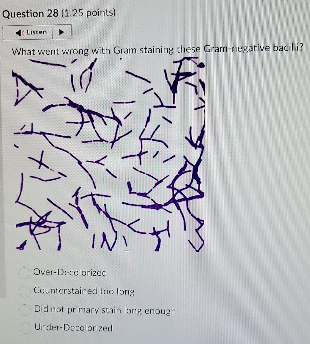 Solved Did not primary stain long enough Under-Decolorized | Chegg.com