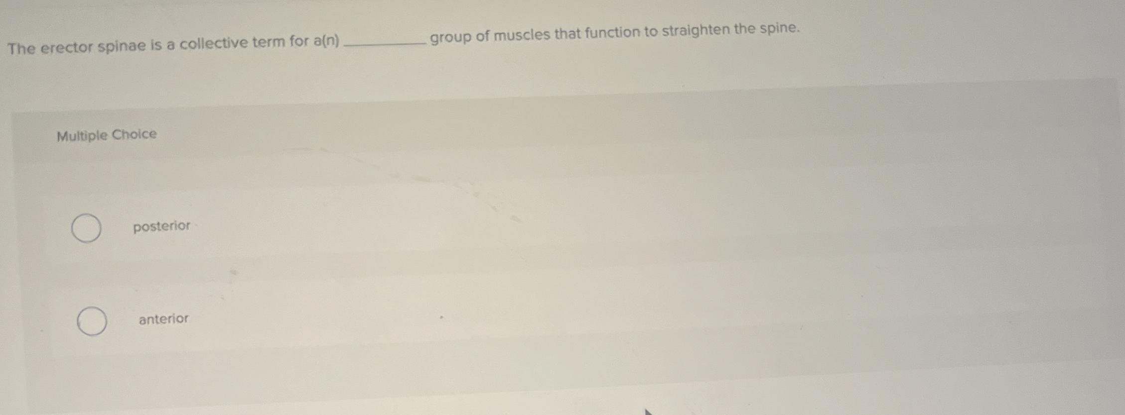 Solved The erector spinae is a collective term for a(n)group | Chegg.com