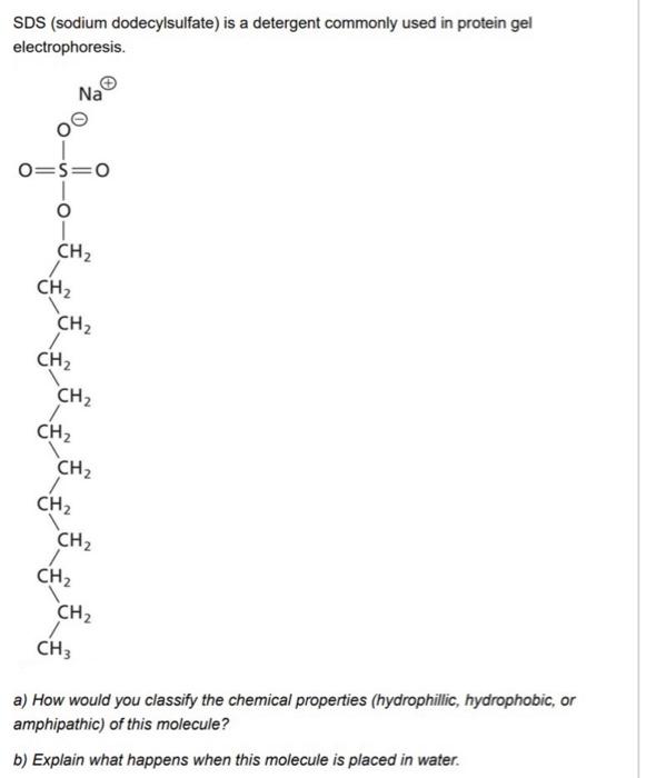 Solved SDS (sodium dodecylsulfate) is a detergent commonly | Chegg.com