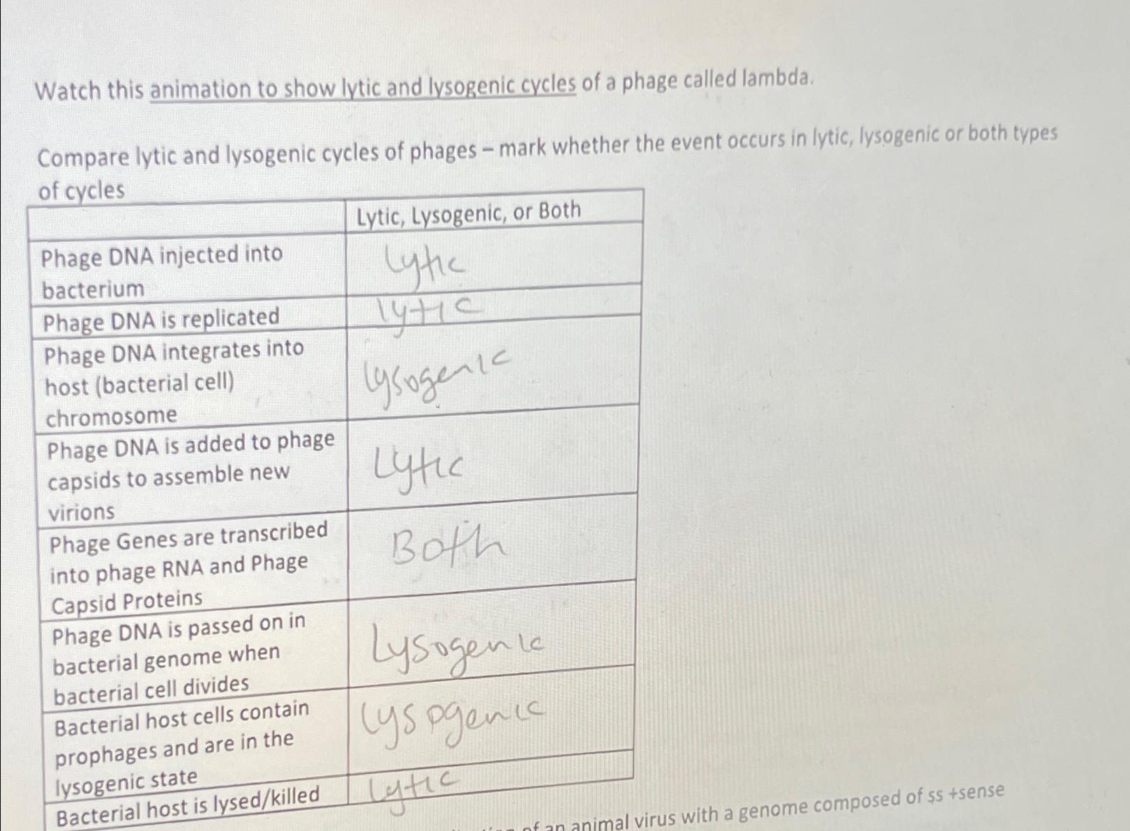 Solved Watch this animation to show lytic and lysogenic | Chegg.com