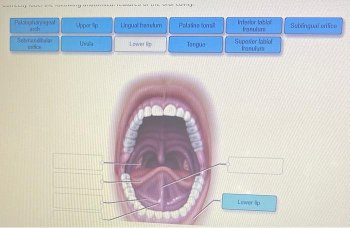 Solved hians in in Sin in IMSINSHO SIO (sin TUNED y | Chegg.com