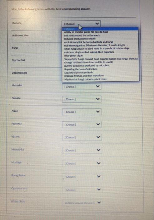 Solved Match the following terms with the best corresponding | Chegg.com