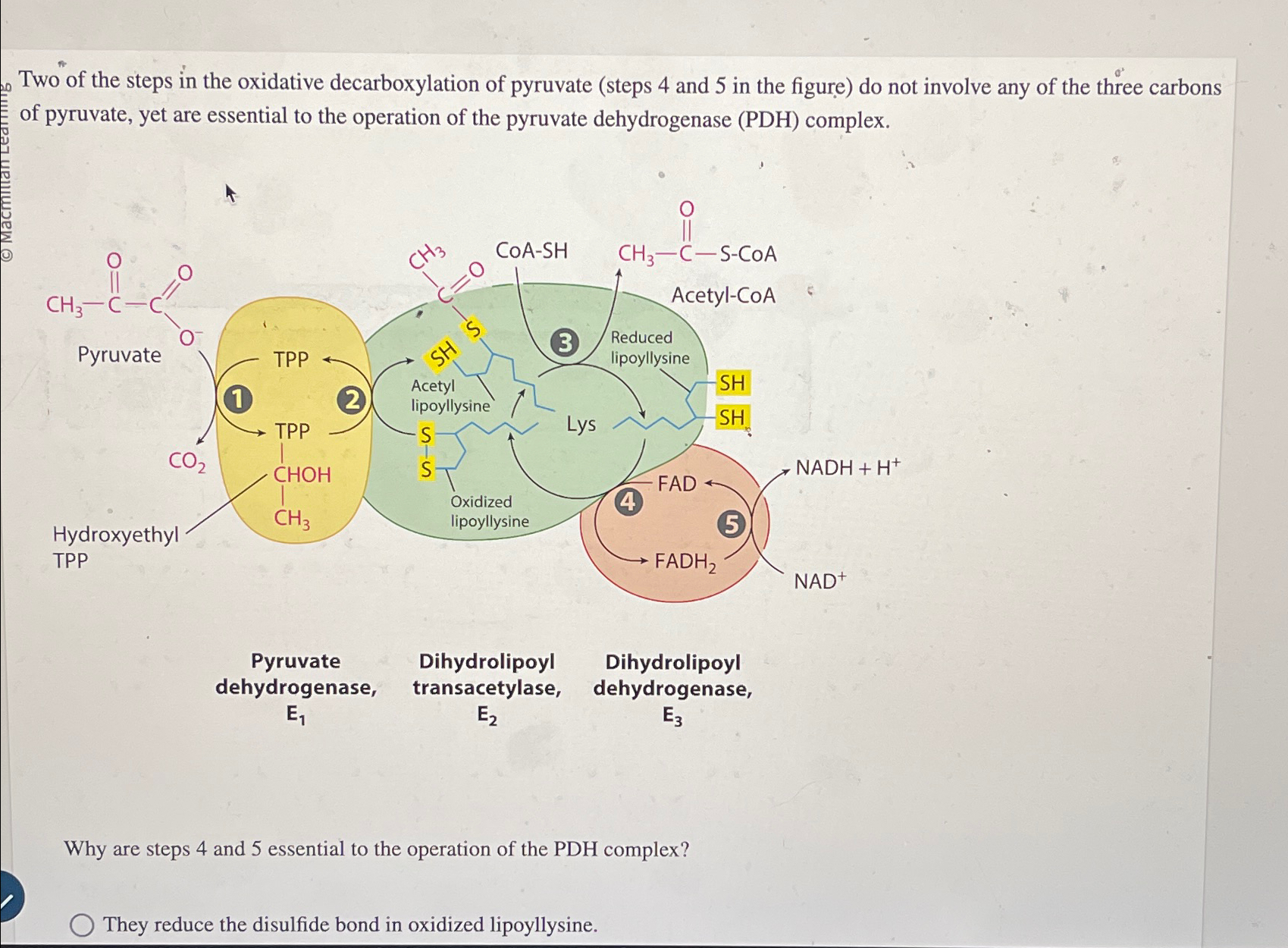 Solved Two of the steps in the oxidative decarboxylation of | Chegg.com