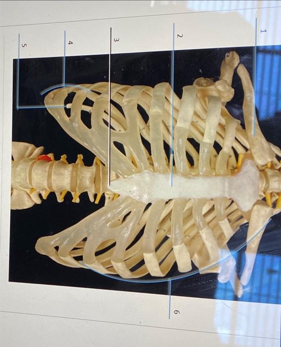 Solved labe 1-6 | Chegg.com
