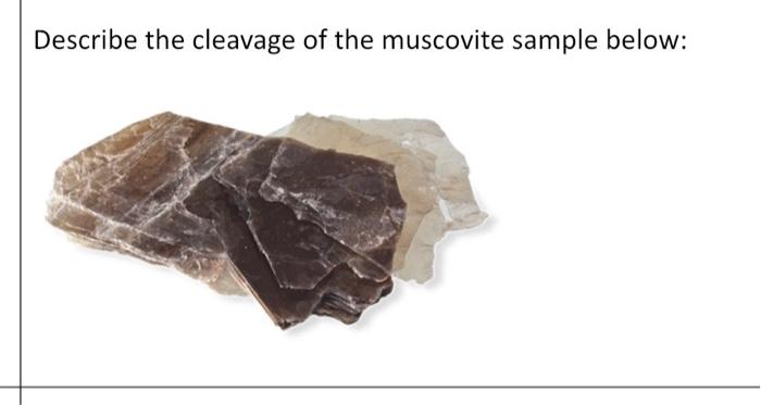 Solved Describe the cleavage of the muscovite sample below: | Chegg.com