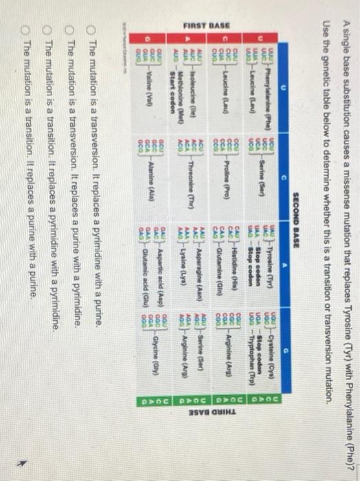 Solved A single base substitution causes a missense mutation | Chegg.com