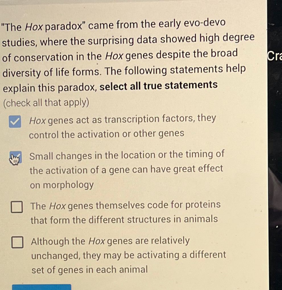 Solved "The Hox paradox" came from the early evo-devo | Chegg.com