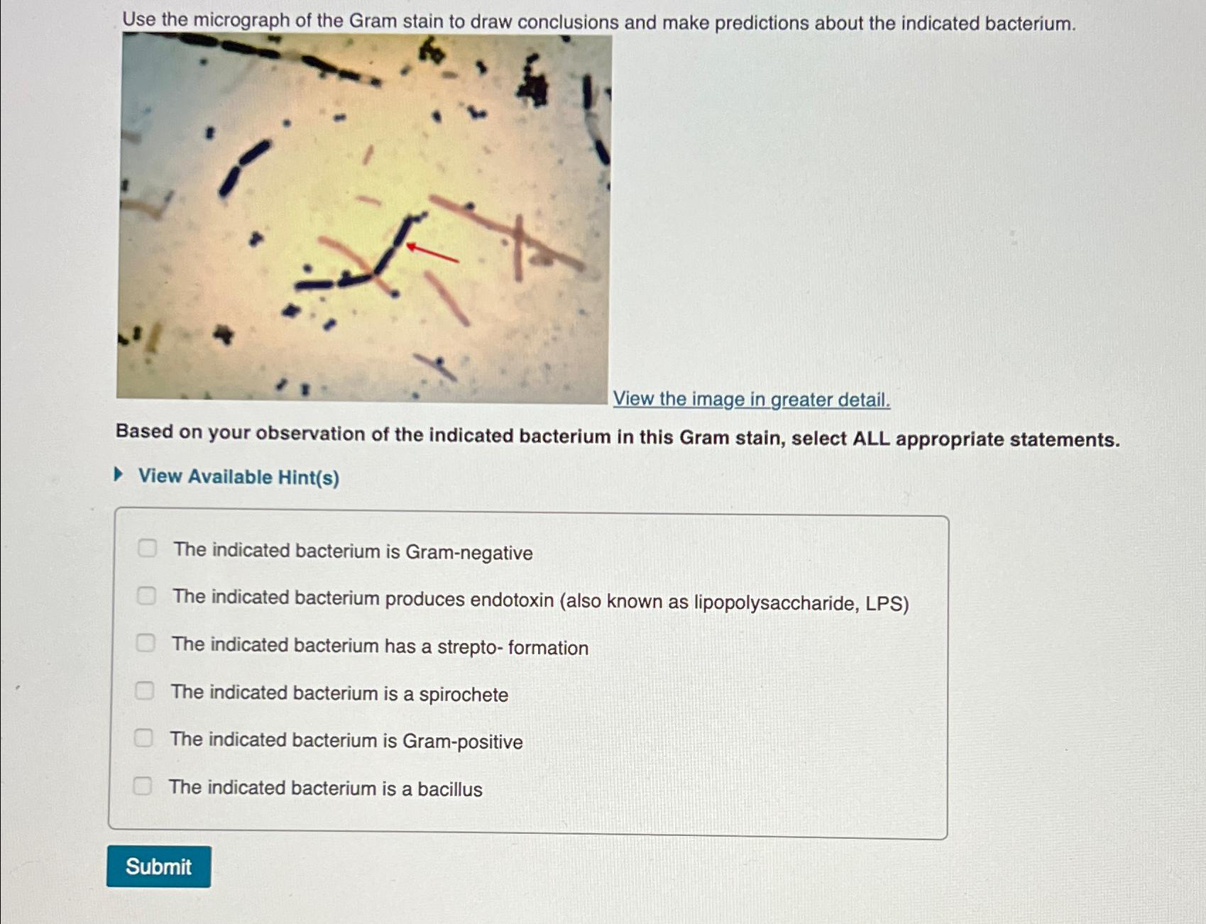 Solved Use the micrograph of the Gram stain to draw | Chegg.com