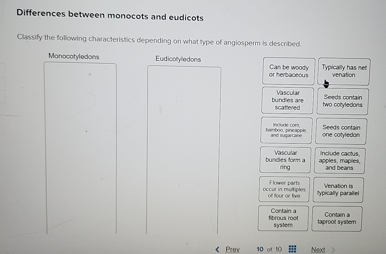 Solved Differences between monocots and eudicotsClassify the | Chegg.com