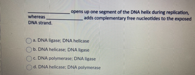 Solved opens up one segment of the DNA helix during | Chegg.com