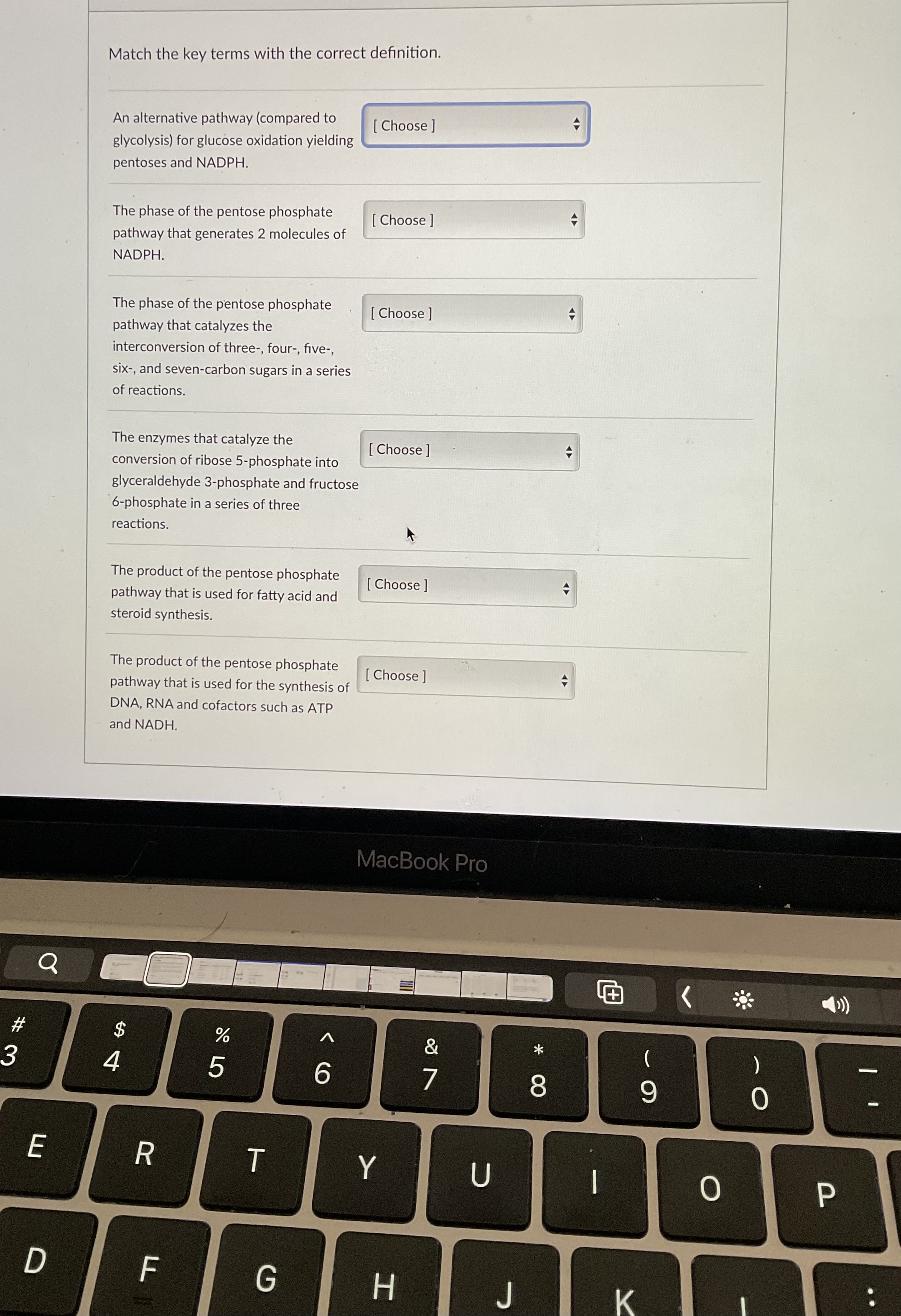 Solved Match the key terms with the correct definition.An | Chegg.com