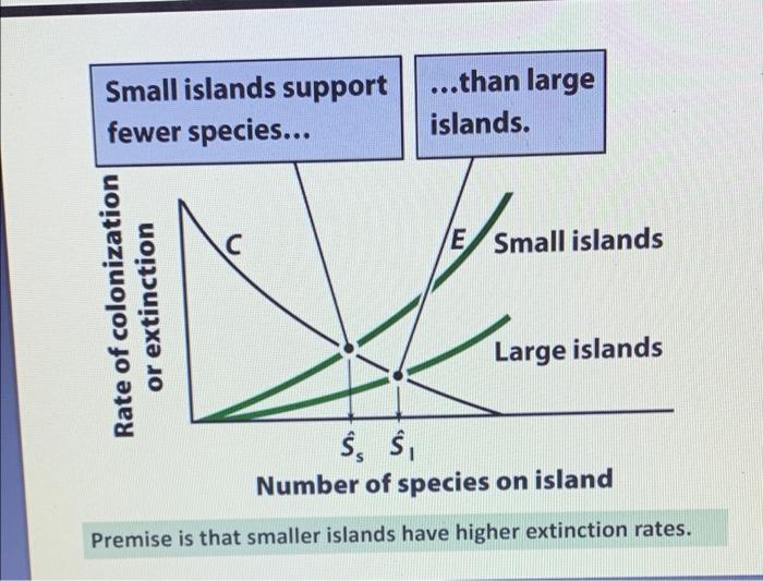 Solved 13. Describe the equilibrium theory of island | Chegg.com
