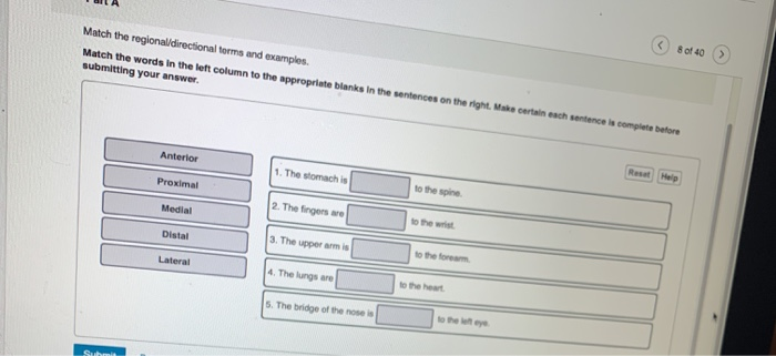 Solved Match the regional/directional terms and examples. | Chegg.com