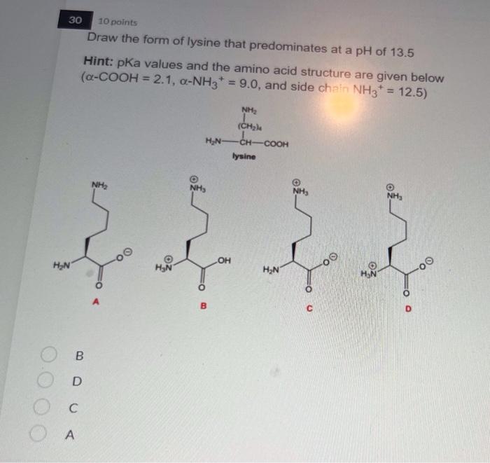 Solved 30 10 points Draw the form of lysine that | Chegg.com