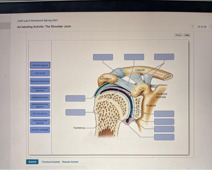 Solved CAPI Lab 9 Homework Spring 2021 Art-labeling | Chegg.com
