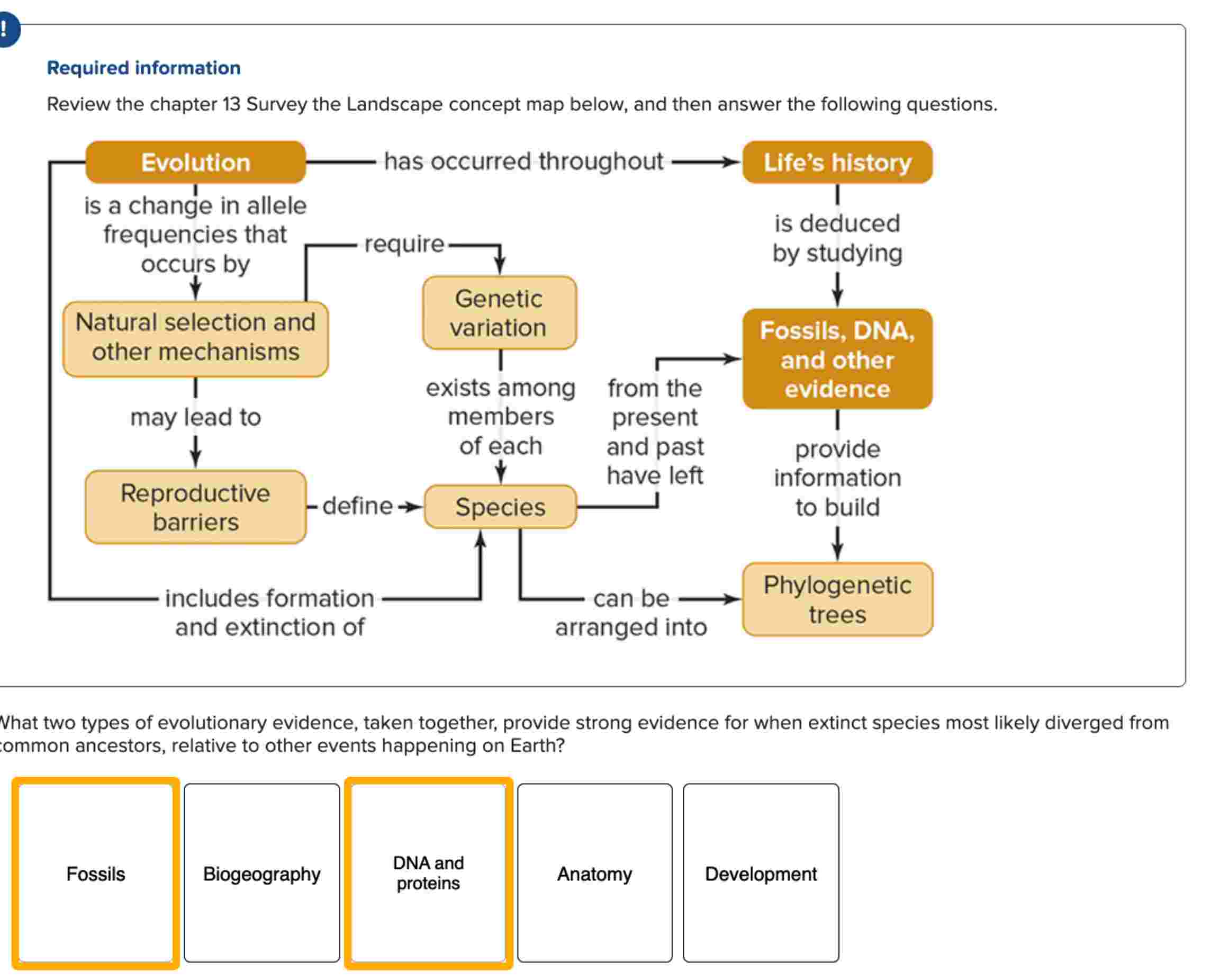 Solved Required informationReview the chapter 13 ﻿Survey the | Chegg.com
