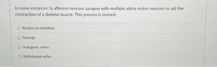 Solved In some instances, la afferent neurons synapse with | Chegg.com