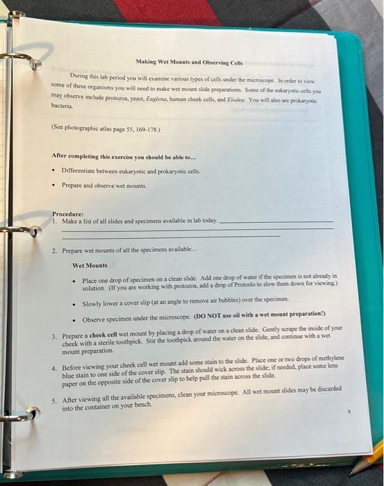 Solved In your laboratory notebook be sure to include the | Chegg.com