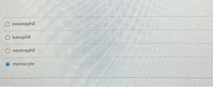 Solved Name the cell at the pointer eosinophil basophil | Chegg.com