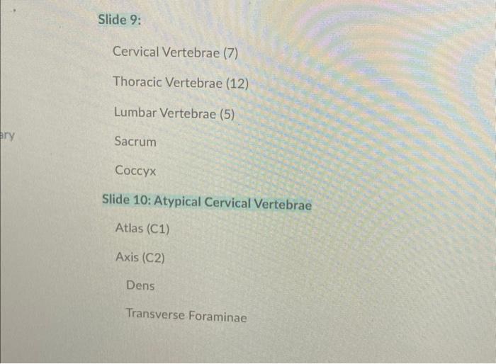 Solved Slide 9: Cervical Vertebrae (7) Thoracic Vertebrae | Chegg.com
