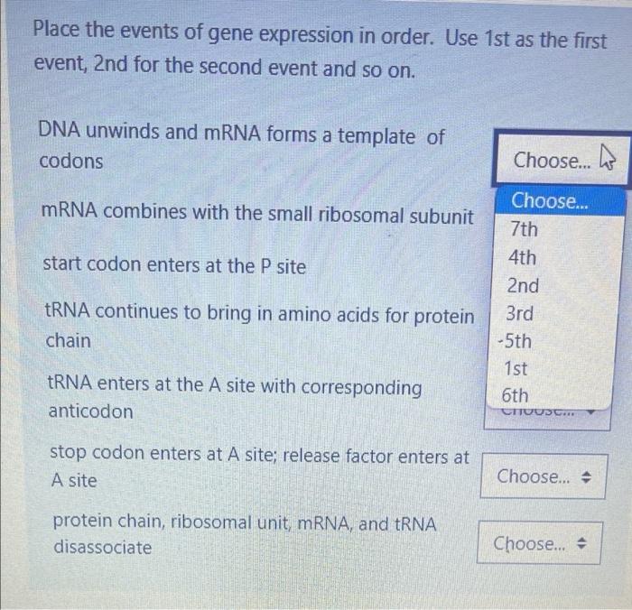 Solved Place the events of gene expression in order. Use 1st | Chegg.com