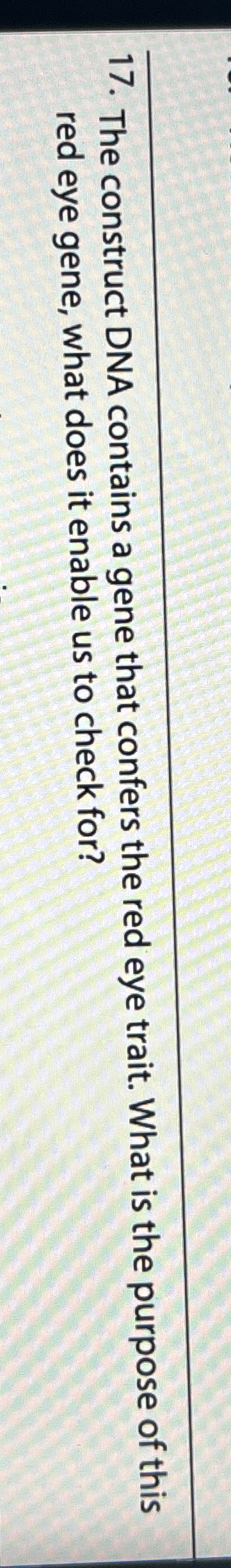 Solved The construct DNA contains a gene that confers the | Chegg.com