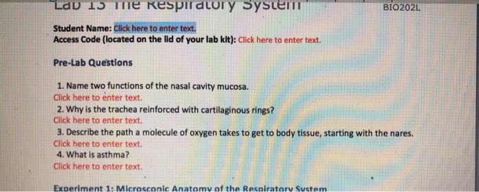 Solved Lav To me respiratory System BIO2022 Student Name: | Chegg.com