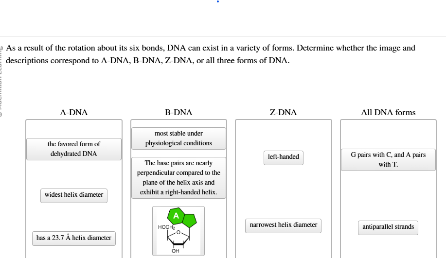 Solved As a result of the rotation about its six bonds, DNA | Chegg.com