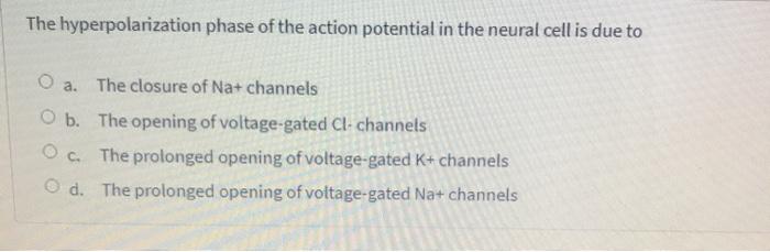 Solved The hyperpolarization phase of the action potential | Chegg.com