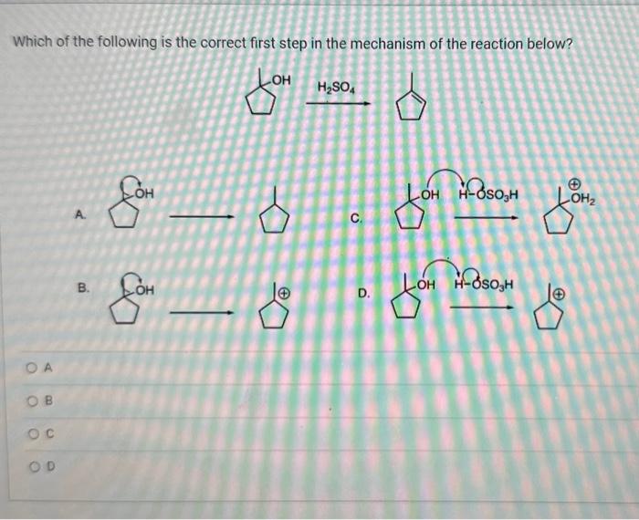 Solved What is the major organic product of the following | Chegg.com