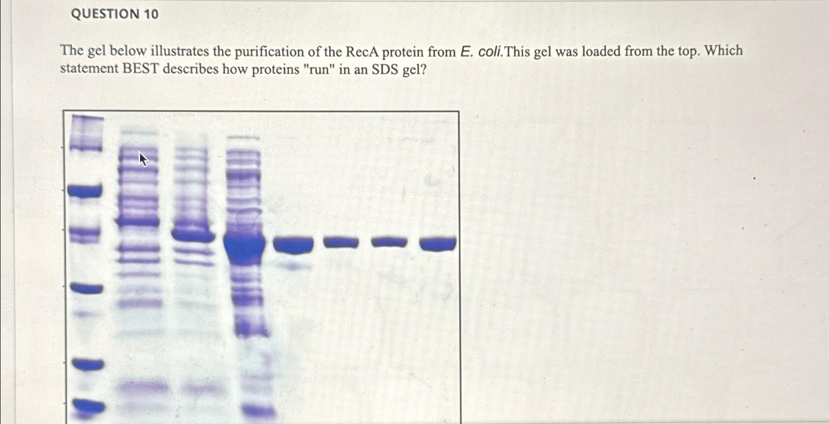 Solved QUESTION 10The gel below illustrates the purification | Chegg.com