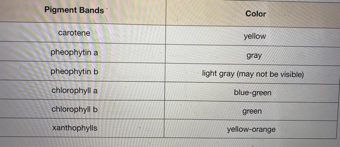 Solved Data Table (2 points) Complete the table below based | Chegg.com