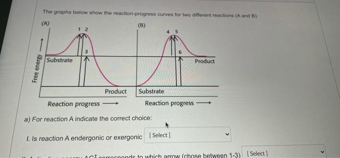 Solved The graphs below show the reaction-progress curves | Chegg.com