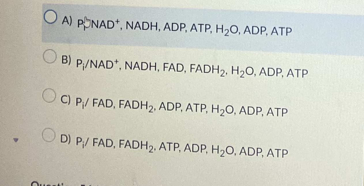 Solved The correct orderPNAD + , ﻿NADH, ADP, ATP, H2O, ﻿ADP, | Chegg.com
