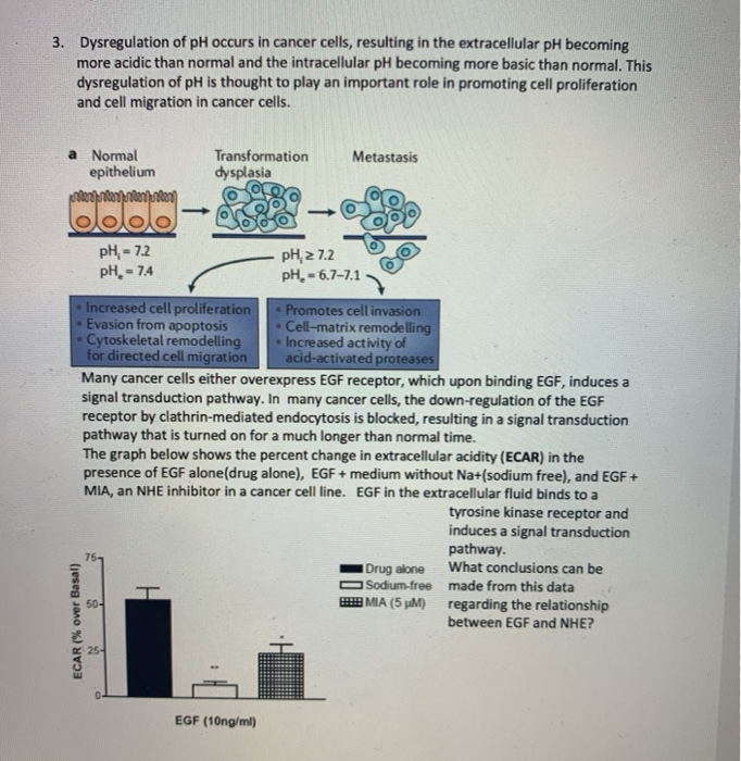 Solved 3. Dysregulation of pH occurs in cancer cells, | Chegg.com