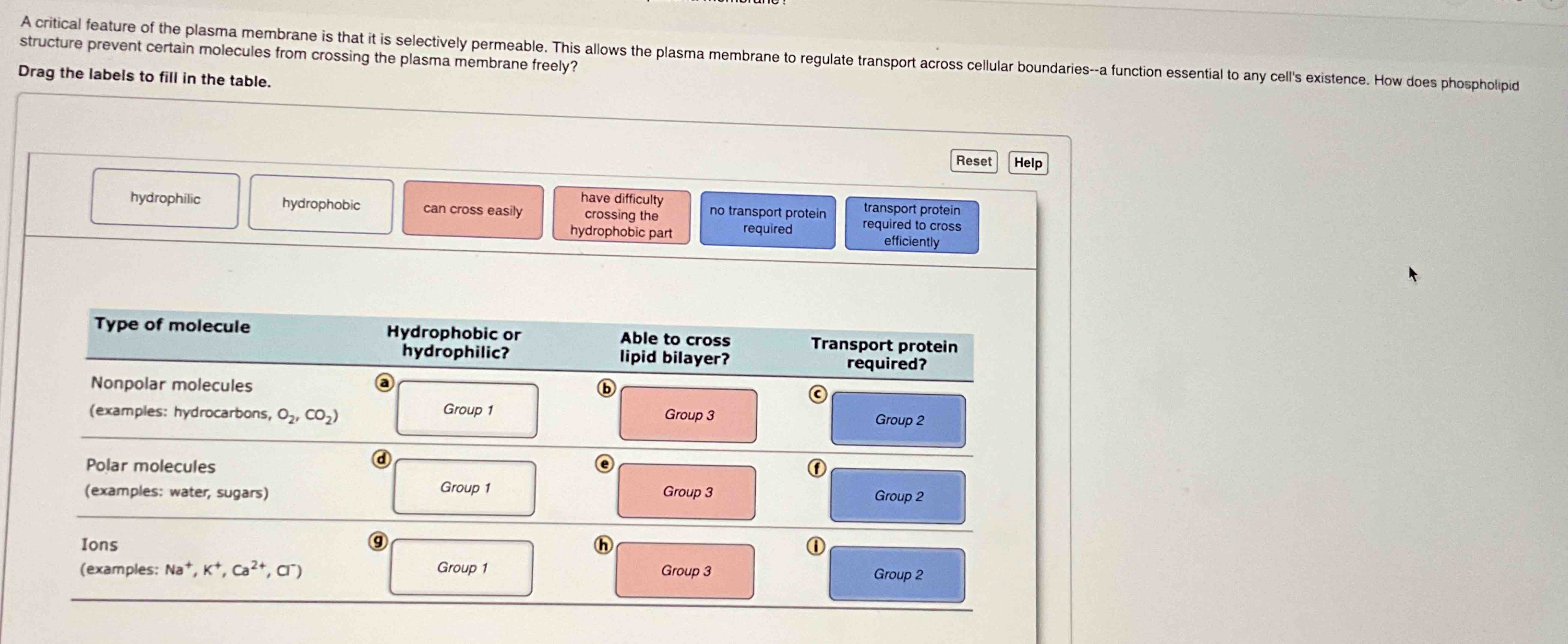 Solved structure prevent certain molecules from crossing the | Chegg.com