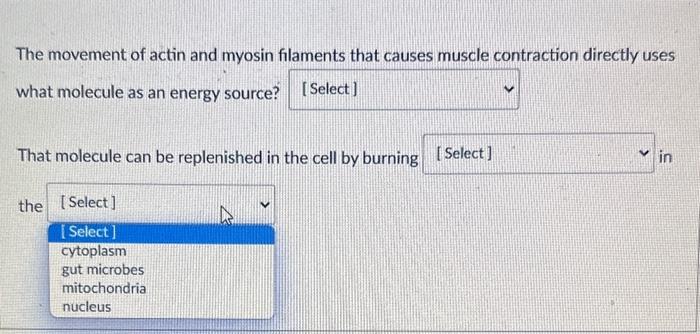 Solved The movement of actin and myosin filaments that | Chegg.com