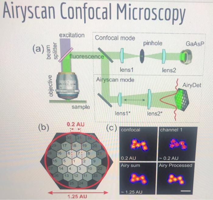 Solved Airyscan Confocal Microscopy excitation Confocal mode | Chegg.com