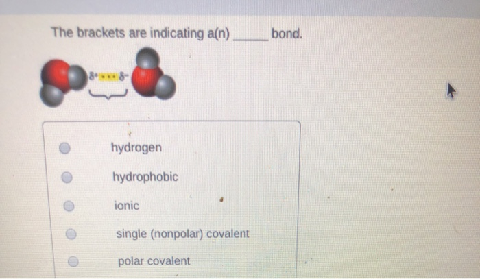Solved The brackets are indicating a(n) bond. 8ww8- hydrogen | Chegg.com