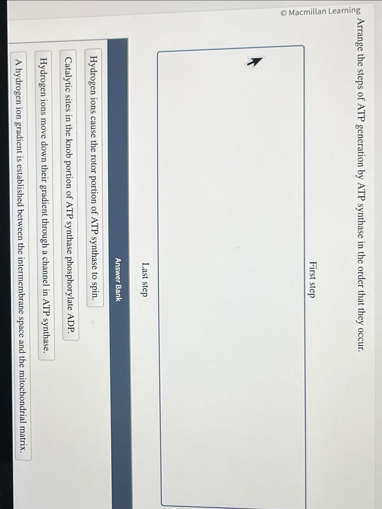 Solved Arrange the steps of ATP generation by ATP synthase | Chegg.com