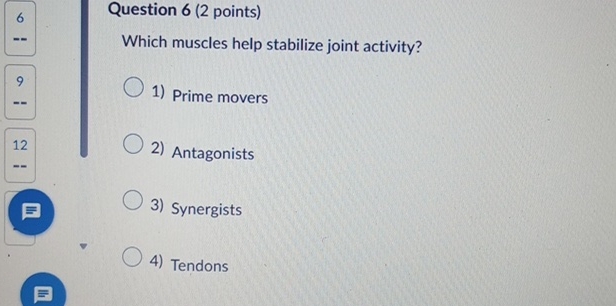 Solved 6Question 6 (2 ﻿points)Which muscles help stabilize | Chegg.com