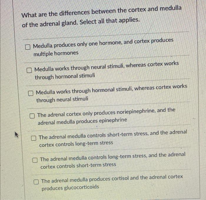 Solved What are the differences between the cortex and | Chegg.com