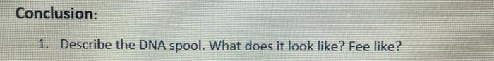 Solved Conclusion: 1. Describe the DNA spool. What does it | Chegg.com