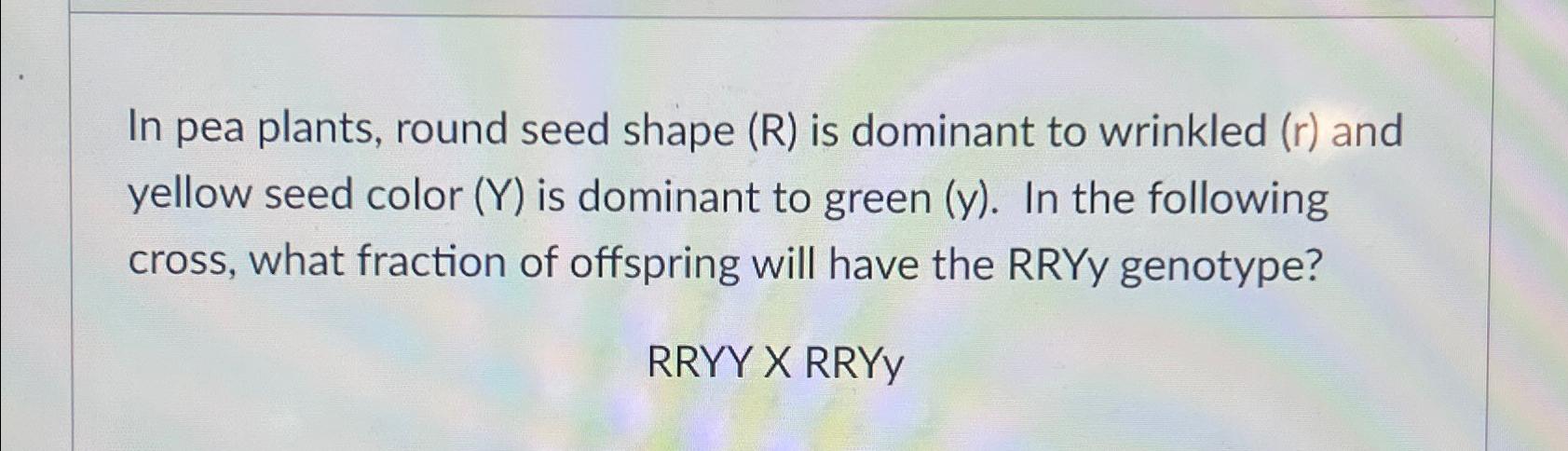Solved In pea plants, round seed shape (R) ﻿is dominant to | Chegg.com