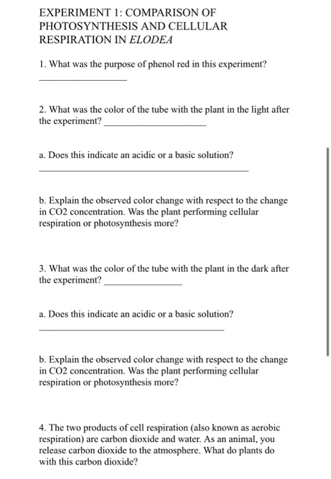 Solved Lab 5: Cellular Respiration Learning Outcomes: . | Chegg.com