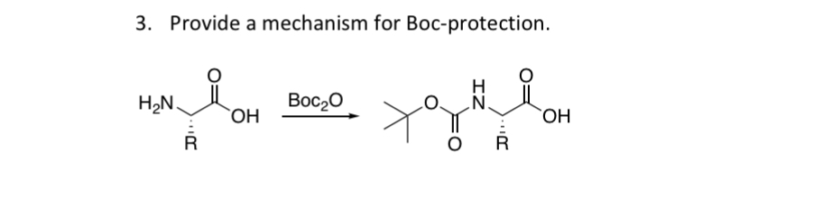 Draw a mechanism for Boc-protection. | Chegg.com