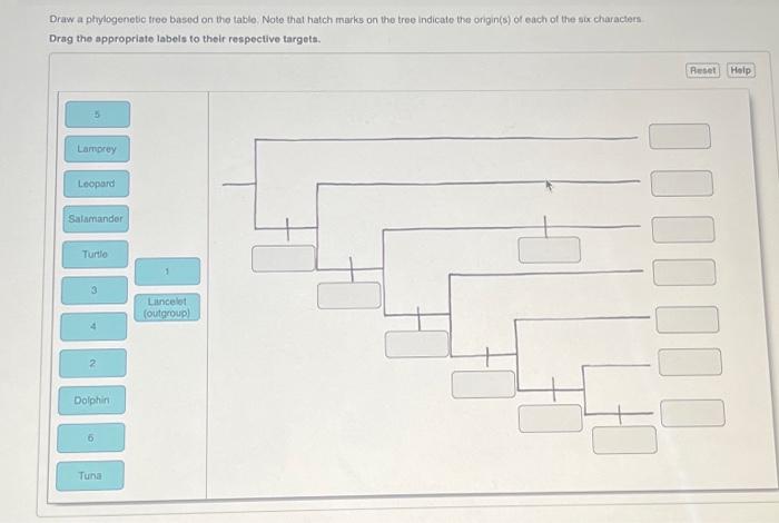 Solved Draw a phylogenetic tree based on the table. Note | Chegg.com