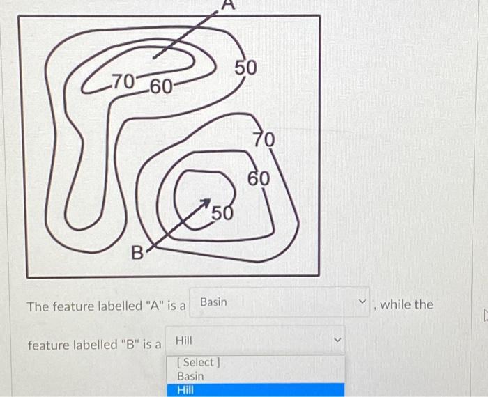 Solved 70 60 B The feature labelled "A" is a feature | Chegg.com