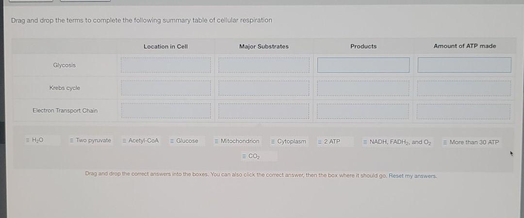 Solved Drag and drop the terms to complete the following | Chegg.com