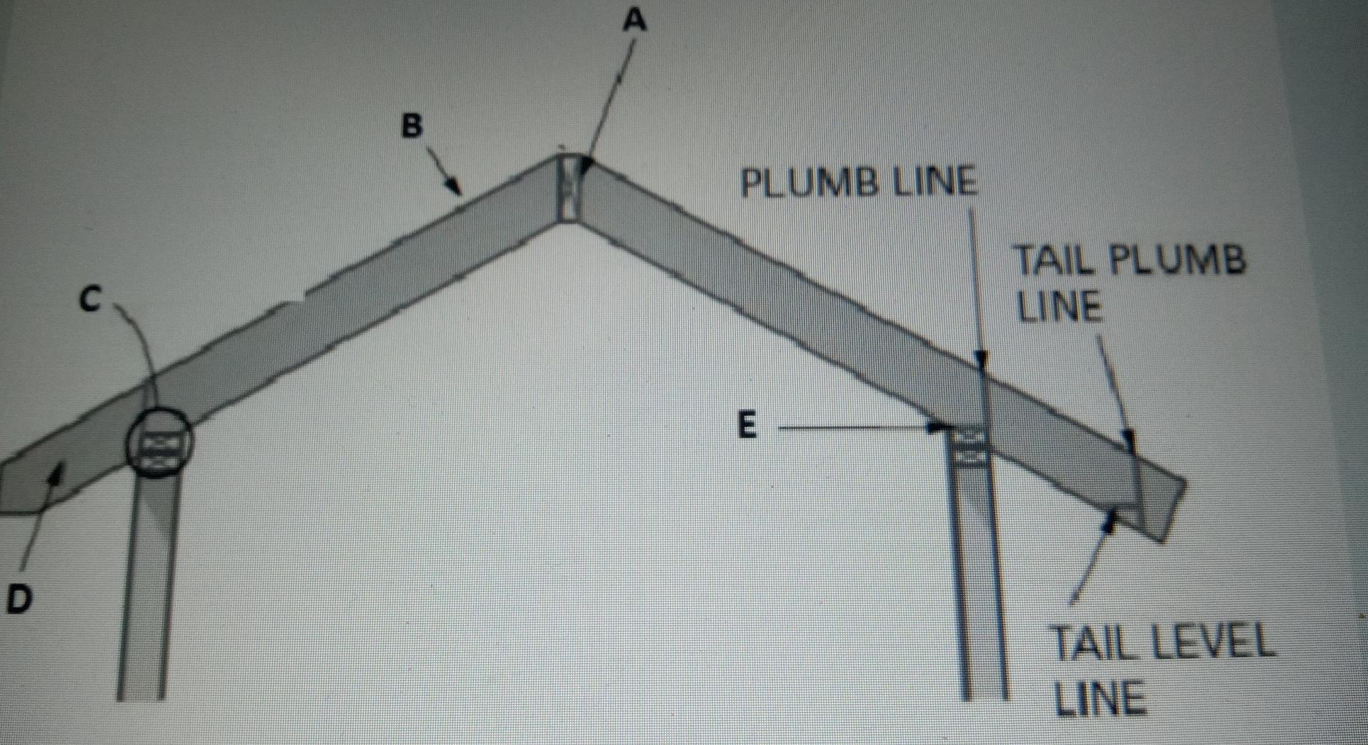 Solved PLUMB LINE C E А B PLUMB LINE с TAIL PLUMB LINE E | Chegg.com